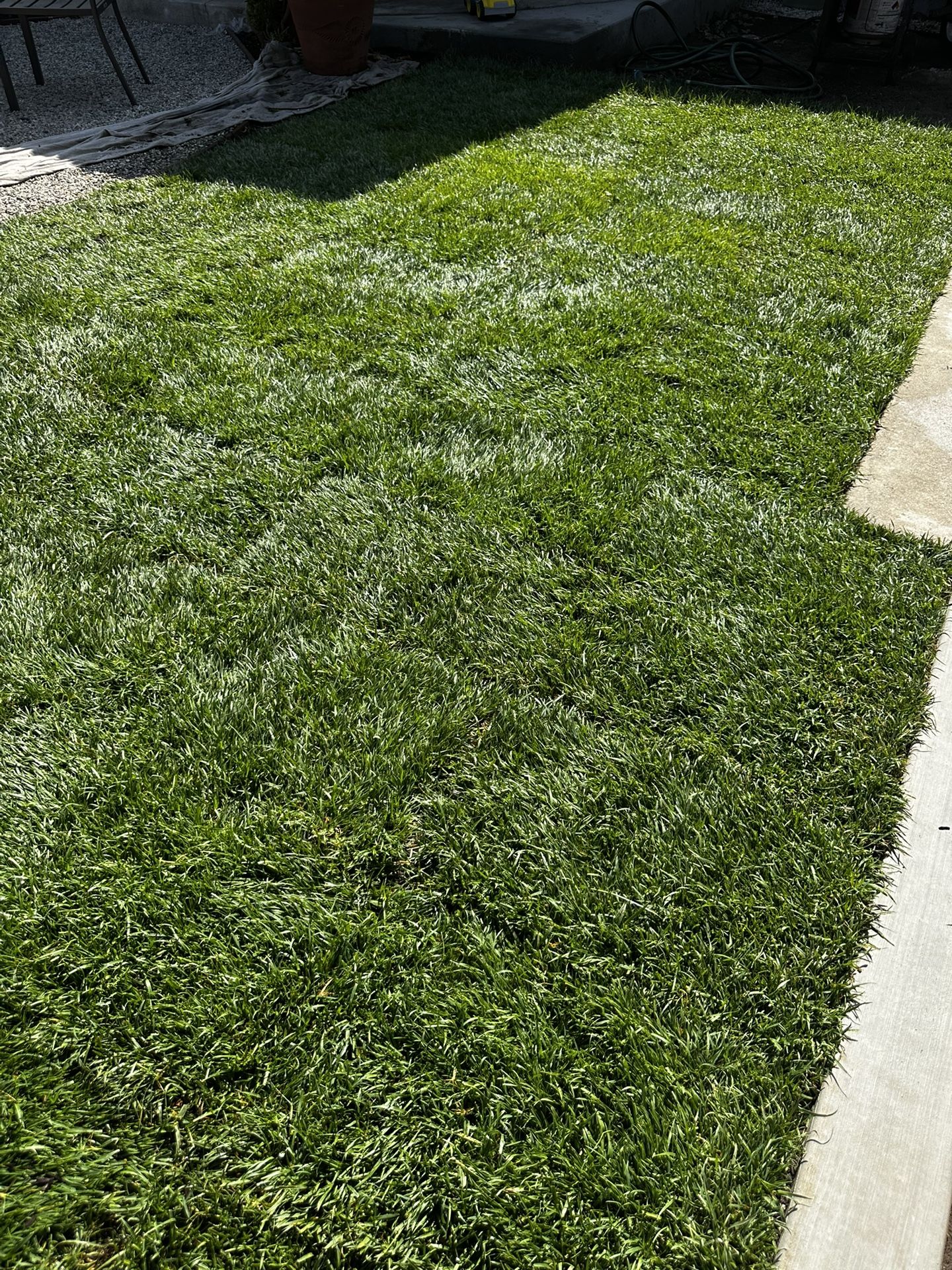Marathon Sod Installation for Sale in Norwalk, CA - OfferUp