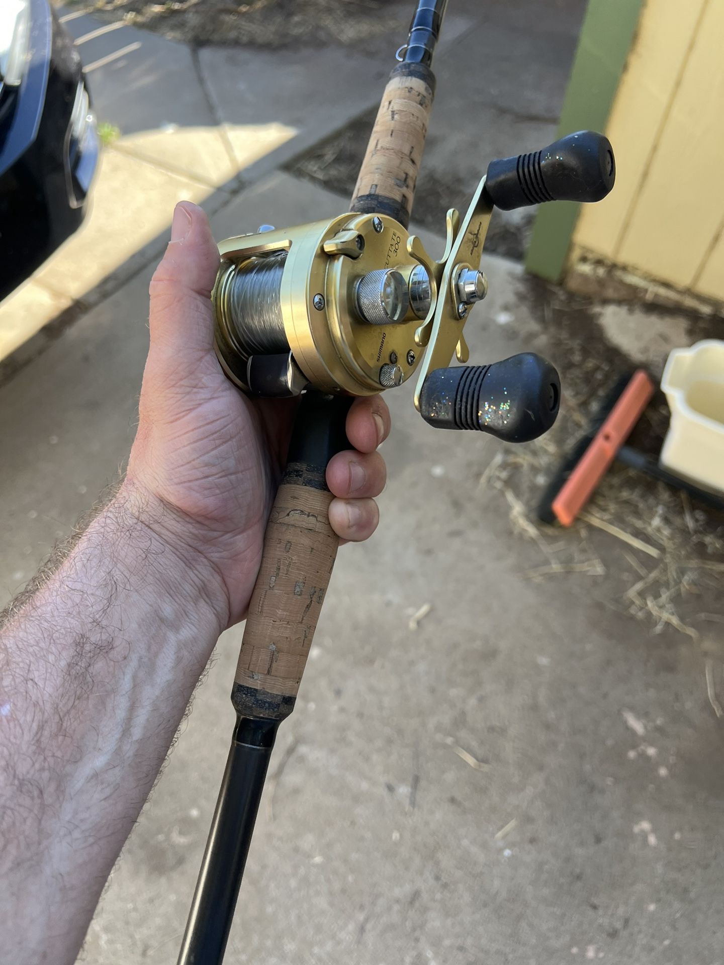 Shimano Calcutta TE + Phenix Ultra Swimbait Rod + Dobyns Sierra UL Rod ...